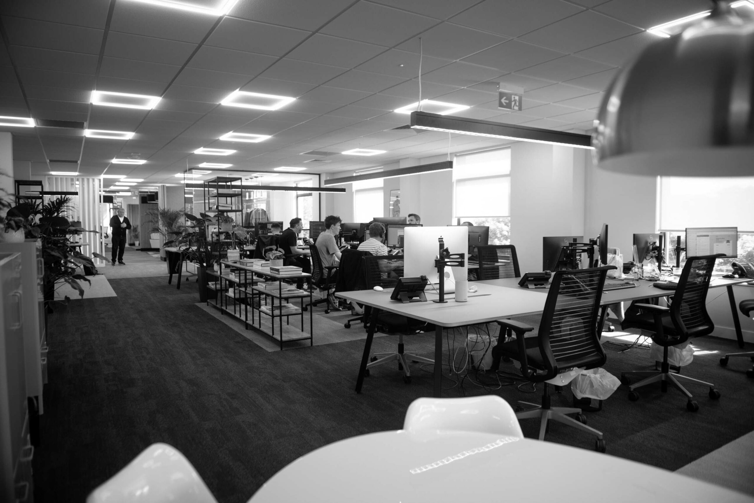 Net Primates supports The MTM Agency's office move - Net Primates